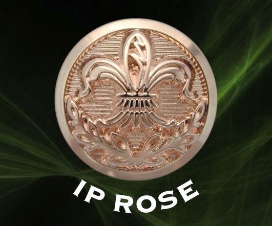 Brilliant Metal Button